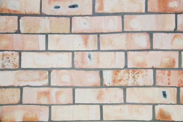 Plant 1 NFP Plaster Bricks - Humcon