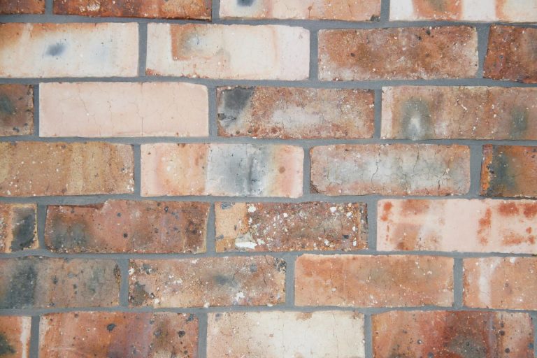 Plant 1 NFX Plaster Bricks - Humcon