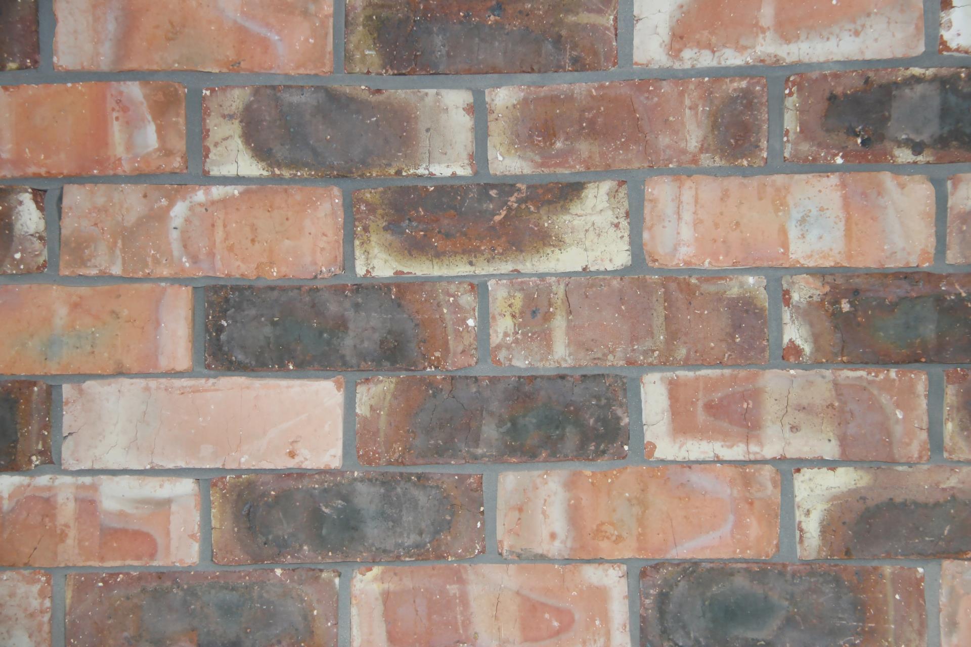 Plant 3 NFX Plaster Bricks - Humcon